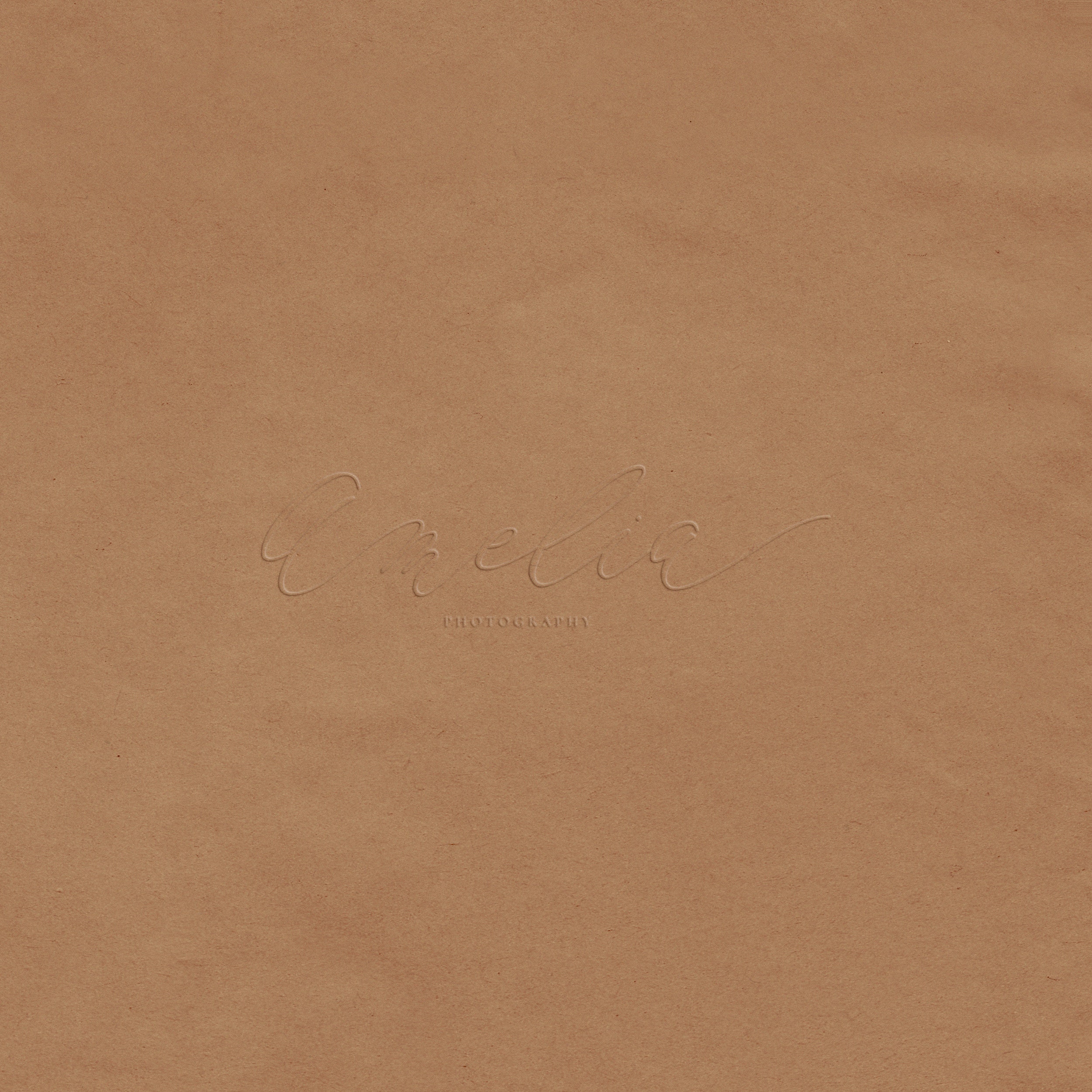 Premade Calligraphy Script Logo Design Signature Style Logo - Etsy