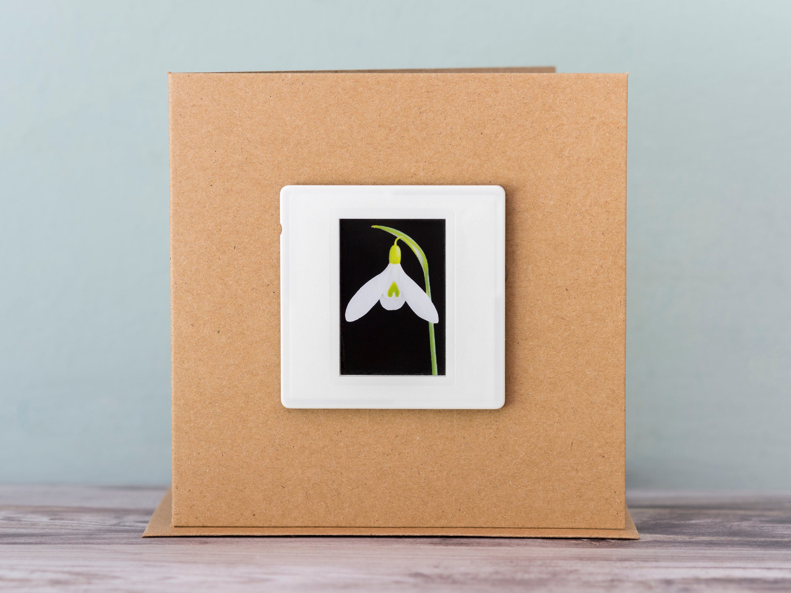 Snowdrop Card Eco Friendly Recycled Cards Floral Note Cards - Etsy Ireland