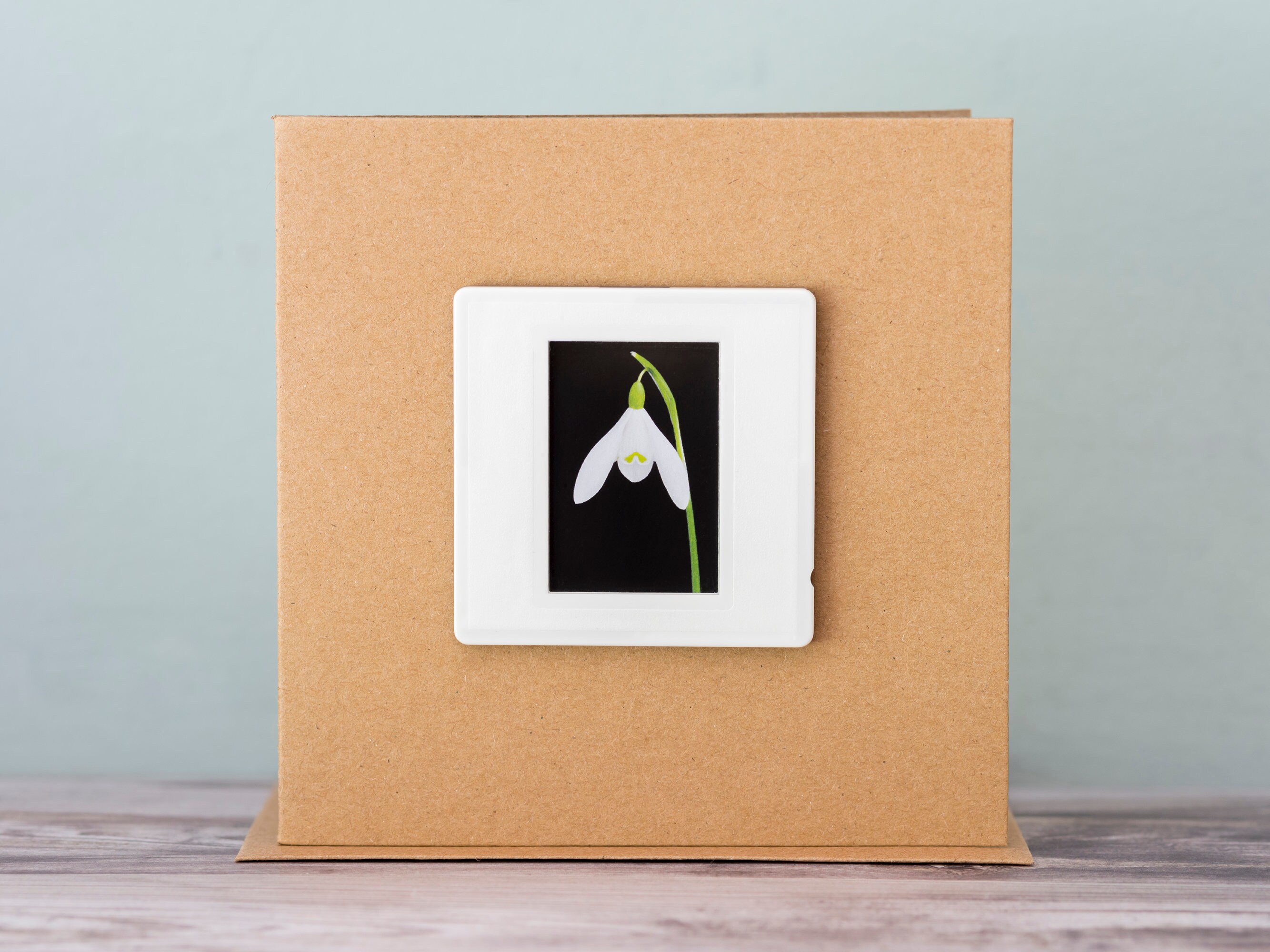 Snowdrop Card Eco Friendly Recycled Cards Floral Note Cards - Etsy Ireland