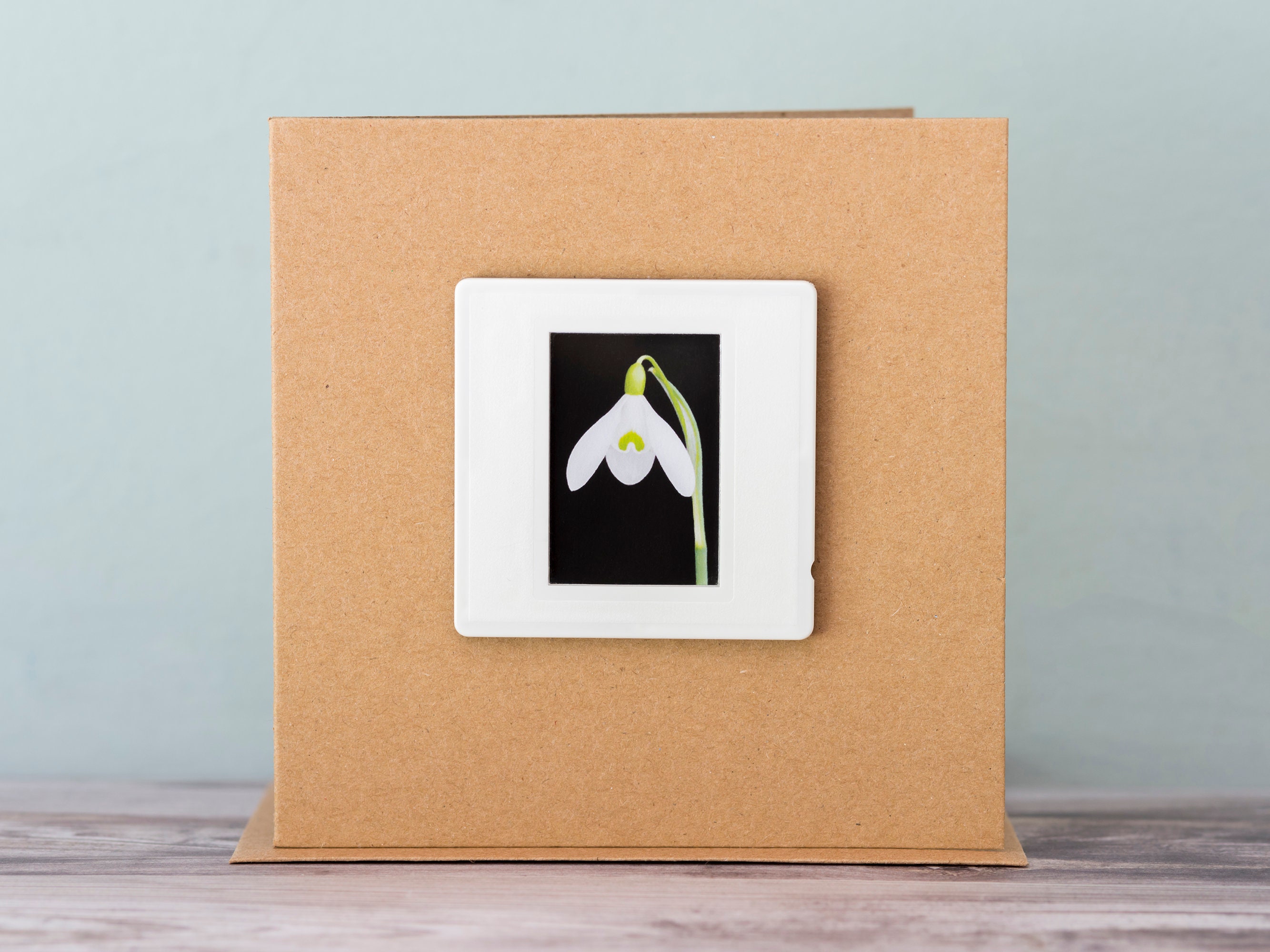 Snowdrop Card Eco Friendly Recycled Cards Floral Note Cards - Etsy Ireland