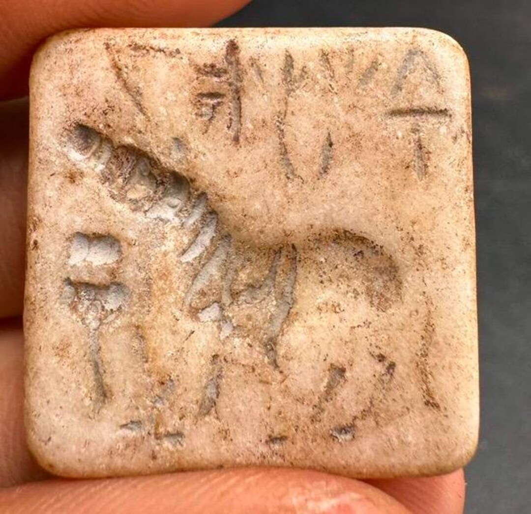 Old Pakistan Indus Valley Intaglio Seal Lion King Stone Writing Letters ...