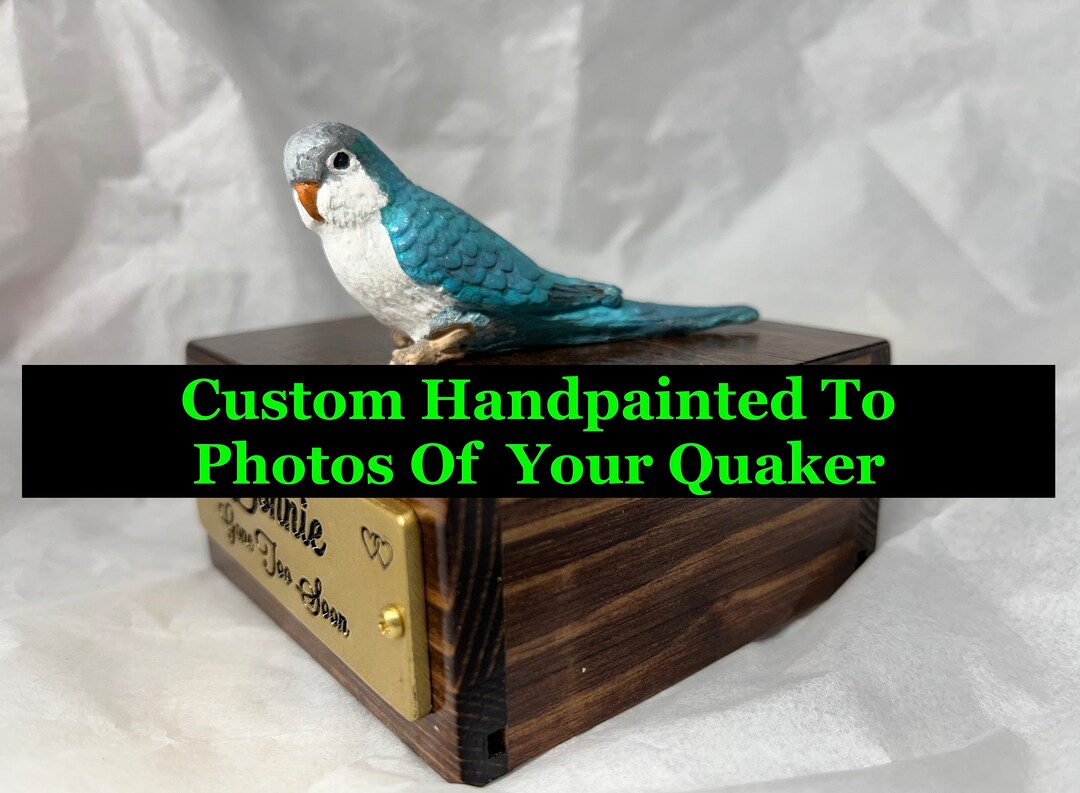 Custom Engraved Quaker Parrot to Your Photos Bird Urn Figurine Pet ...