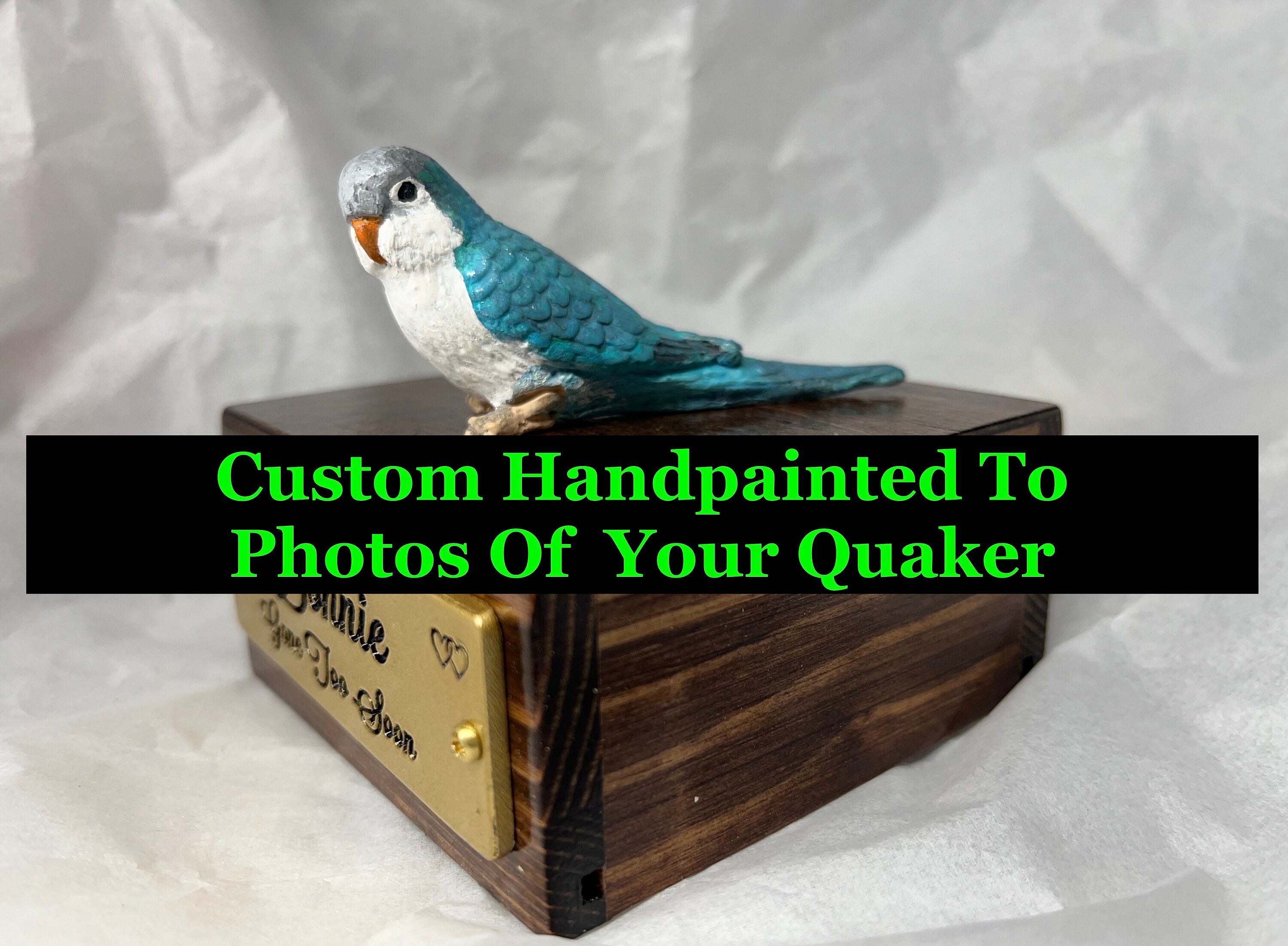 Quaker Parrot Nest Box