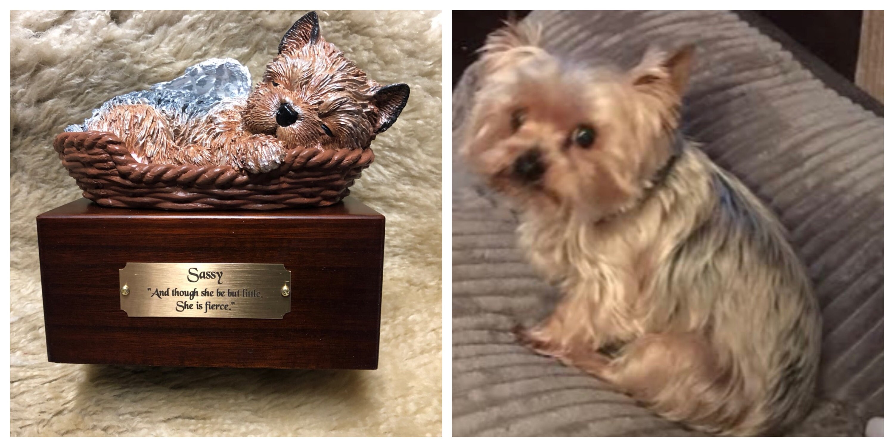 Custom Yorkie Urn Yorkshire Terrier Pet Portrait Memorial To | Etsy