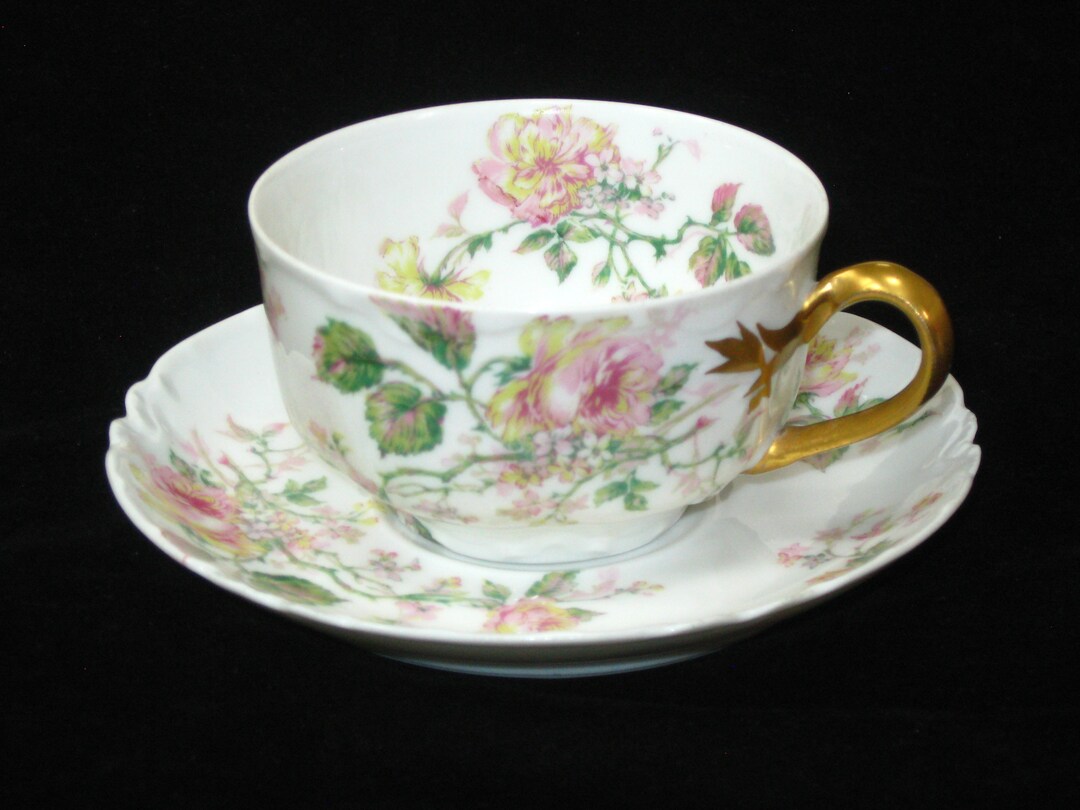Haviland & Co Limoges Porcelain Teacup Cup + Saucer Set Schleiger 31A ...