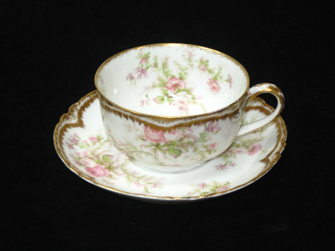 Haviland & Co Limoges Porcelain Double Gold Teacup Cup + Saucer Set ...