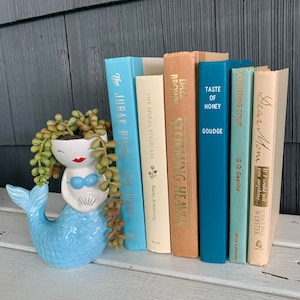Beach House Book Stack, Lakehouse Book Set, Books by Color, Decorative ...