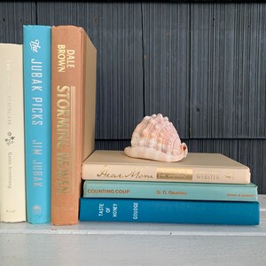 Beach House Book Stack, Lakehouse Book Set, Books by Color, Decorative ...
