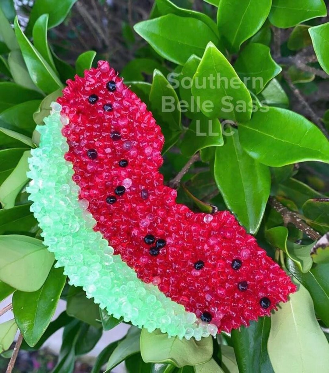 Watermelon_air Freshener Car Scents Candle Accessory Wholesale Freshies ...