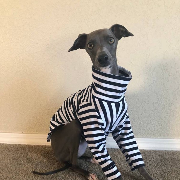 Italian Greyhound - Etsy