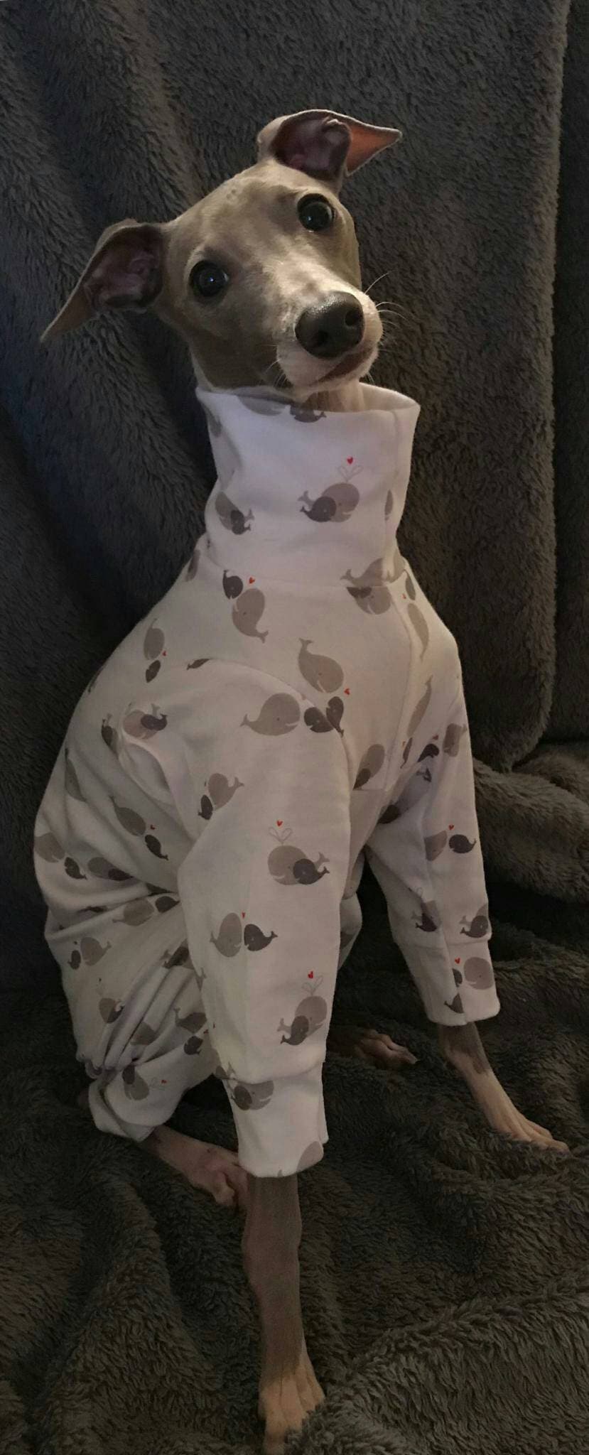 Custom Italian Greyhound Summer weight Jersey Knit one piece | Etsy