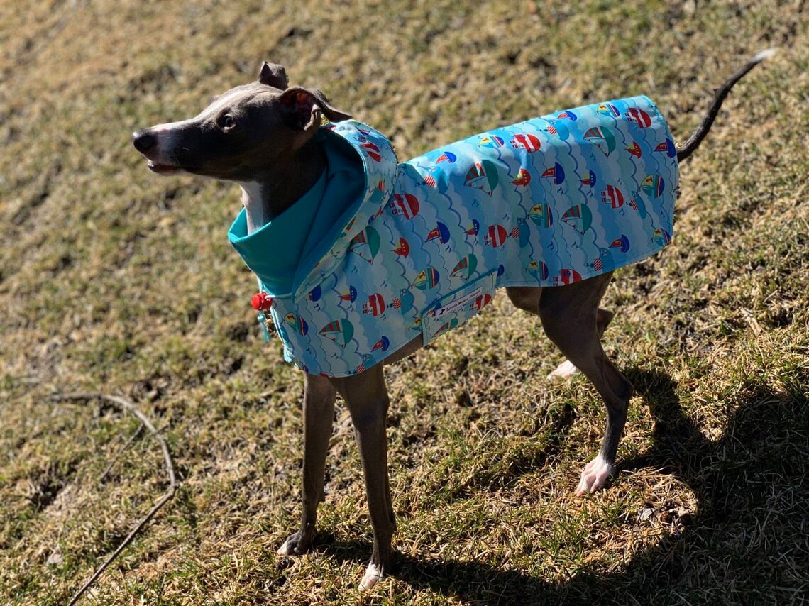 Custom Italian Greyhound Blanket Style Raincoat. Iggy | Etsy