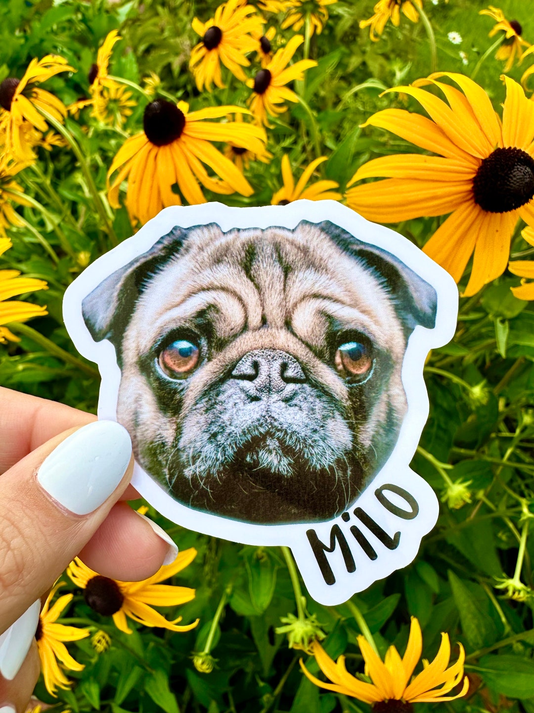 10 Pet Face Stickers, Custom Pet Sticker, Pet Gifts, Dog Laptop Sticker ...