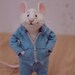 Rat, Made to Order, Miniature Rat, Tracksuit Rat, Sports Rat, Sneakers ...