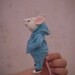 Rat, Made to Order, Miniature Rat, Tracksuit Rat, Sports Rat, Sneakers ...