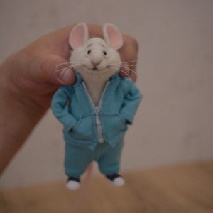 Rat, Made to Order, Miniature Rat, Tracksuit Rat, Sports Rat, Sneakers ...