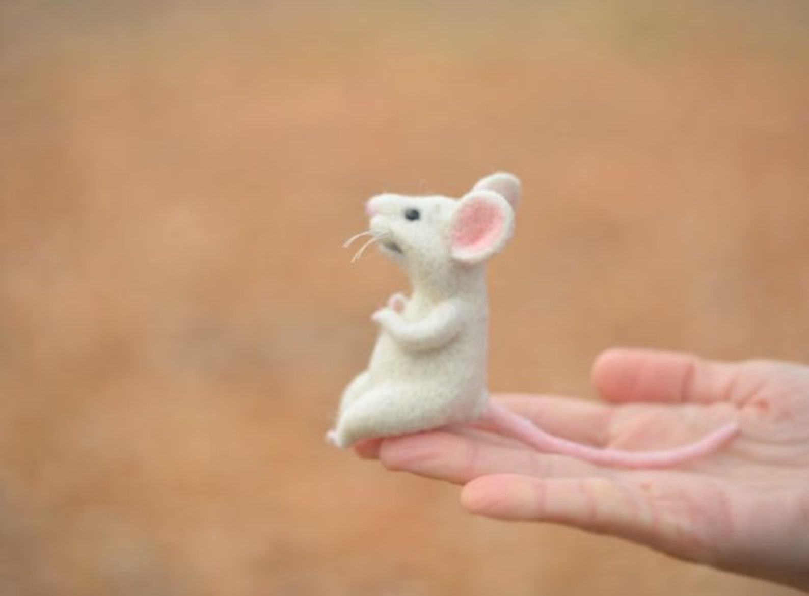 MADE TO ORDER White Mice Mouse in the Cup Cute Mouse Mouse on - Etsy