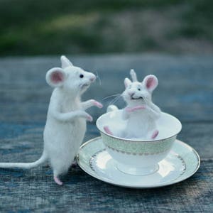 MADE TO ORDER White Mice Mouse in the Cup Cute Mouse Mouse on the ...