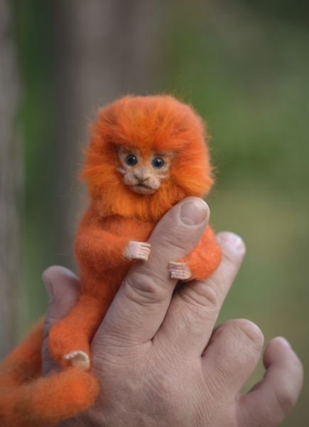 Collectible Figurine Marmoset Red Marmoset Monkey Sculpture - Etsy