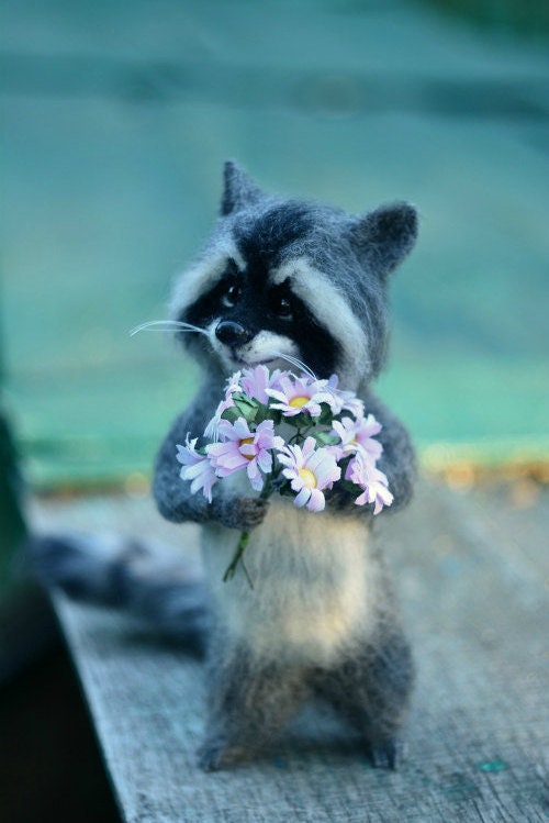 MADE TO ORDER Needle Felted Raccoon Needle Felted Animal | Etsy