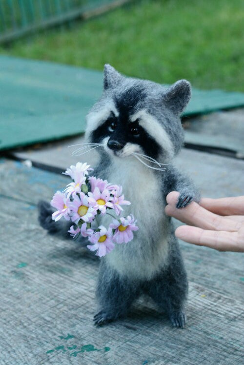 MADE TO ORDER Needle Felted Raccoon Needle Felted Animal | Etsy