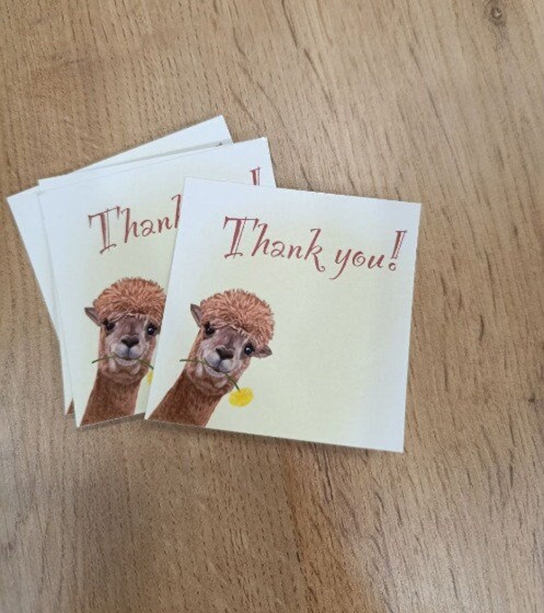 Thank You Postcard,postcards Set of 5, Mini Postcard, Thank You Notes ...
