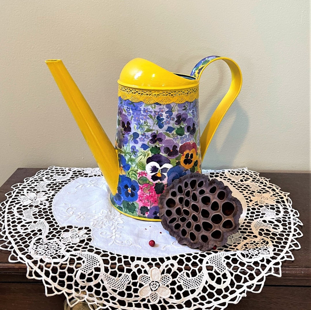 Metal Watering Can, Indoor Water Can, Garden Watering Can, Bright Hand ...