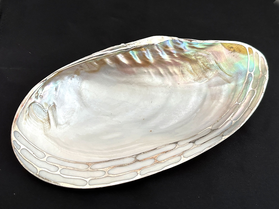 Mother of Pearl Clam Shell Large Trinket Dish Silver Accents 9 - Etsy