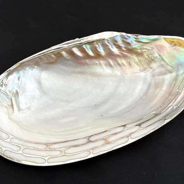 Clam Shell Dish - Etsy