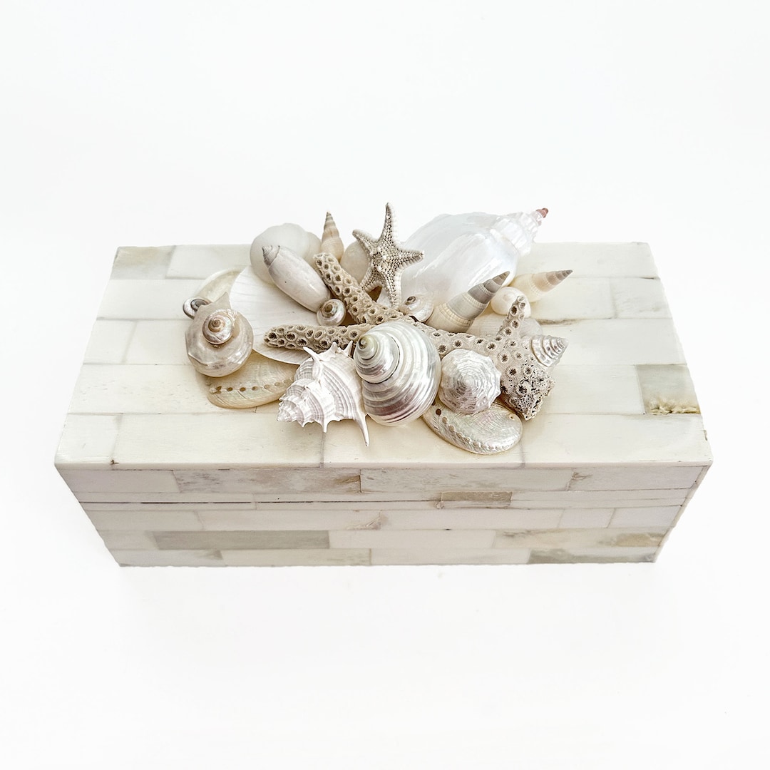 Seashell Coral Cream Bone Jewelry Box Beach Decor, Decorative Trinket ...