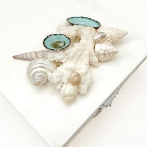 Beach Decor Seashell Coral Limpet Jewelry Box, Beach Decor Shell Box ...