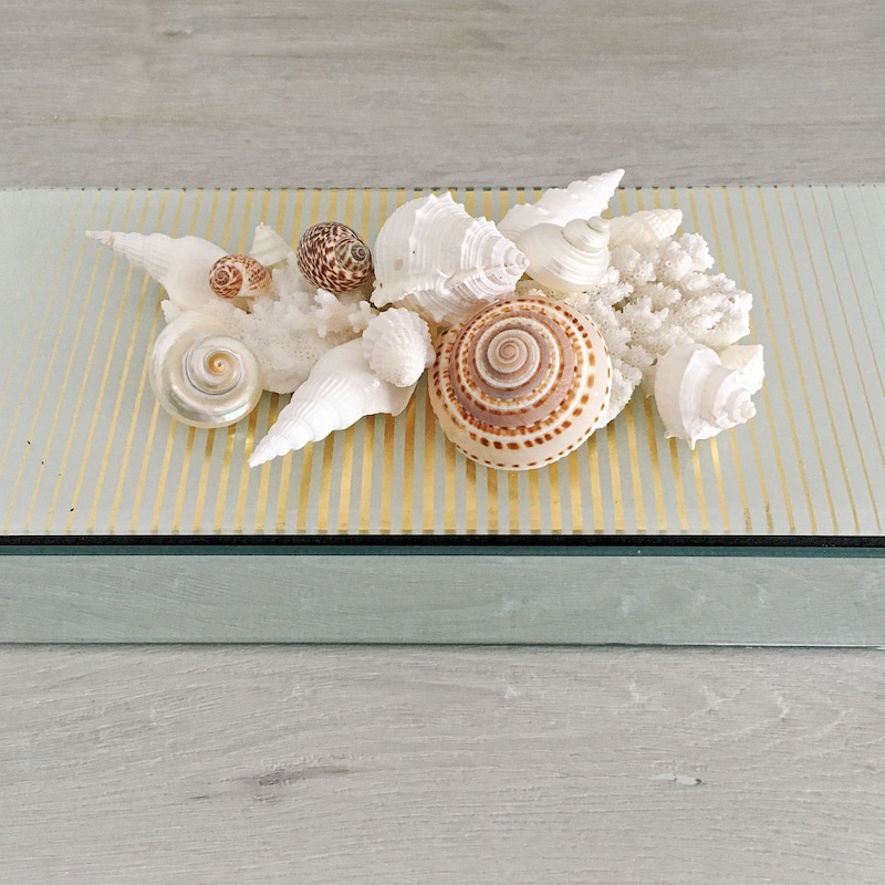 Seashell Mirror - Etsy