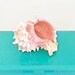 Pink Murex Sea Shell 3-4", Pink Mouth Murex Shell, Beach Decor ...
