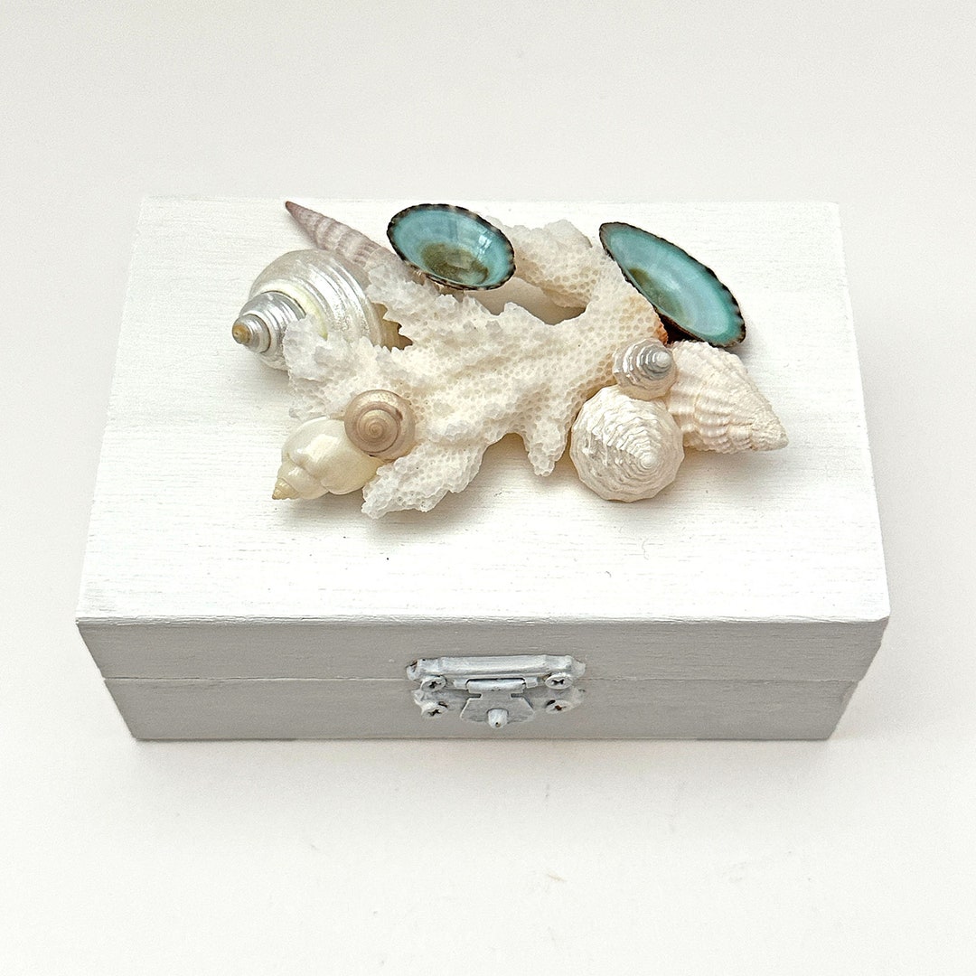 Beach Decor Seashell Coral Limpet Jewelry Box, Beach Decor Shell Box ...