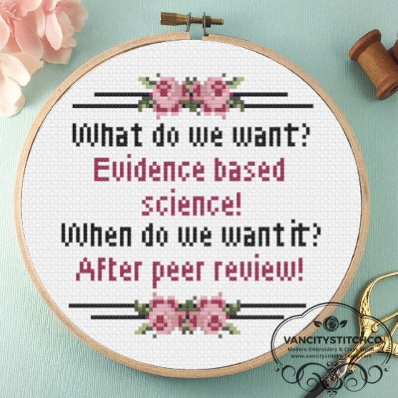 Rude Cross Stitch - Etsy