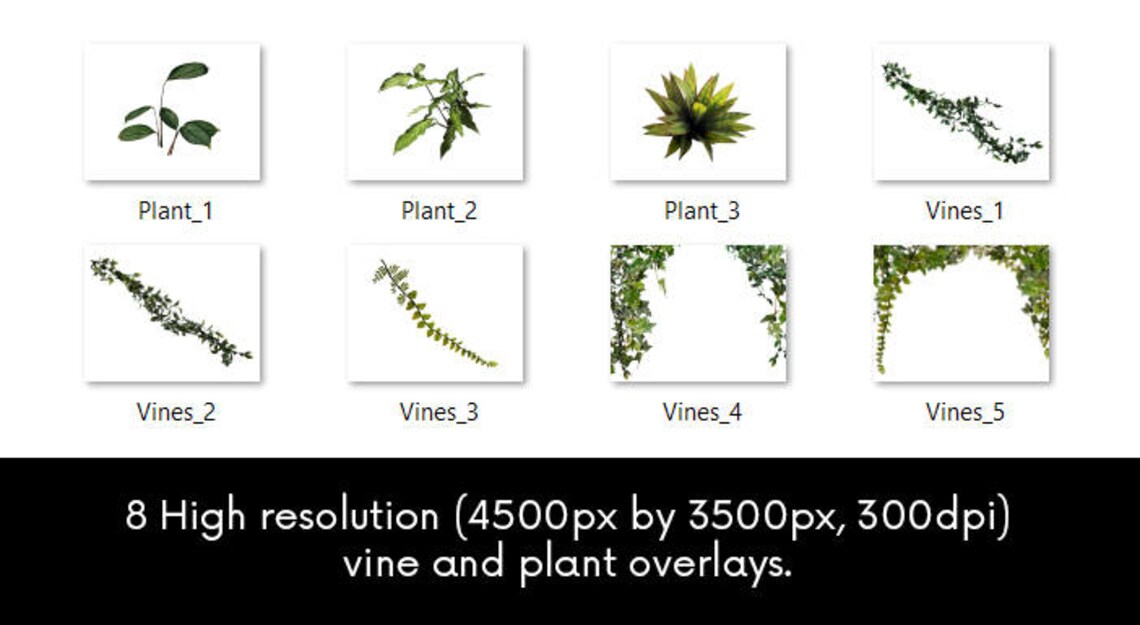 Vine Plant Overlays Perfect for Foregrounds - Etsy