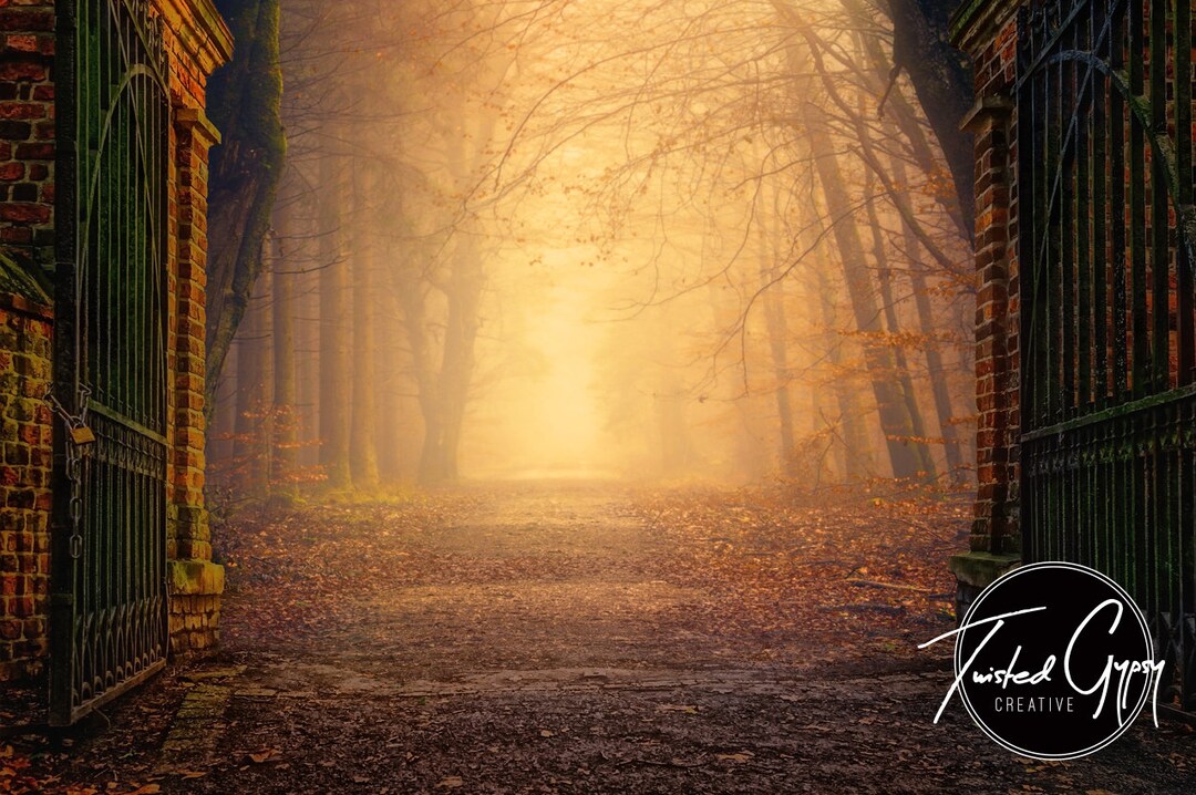Autumn Gate Forest Path Digital Background - Etsy