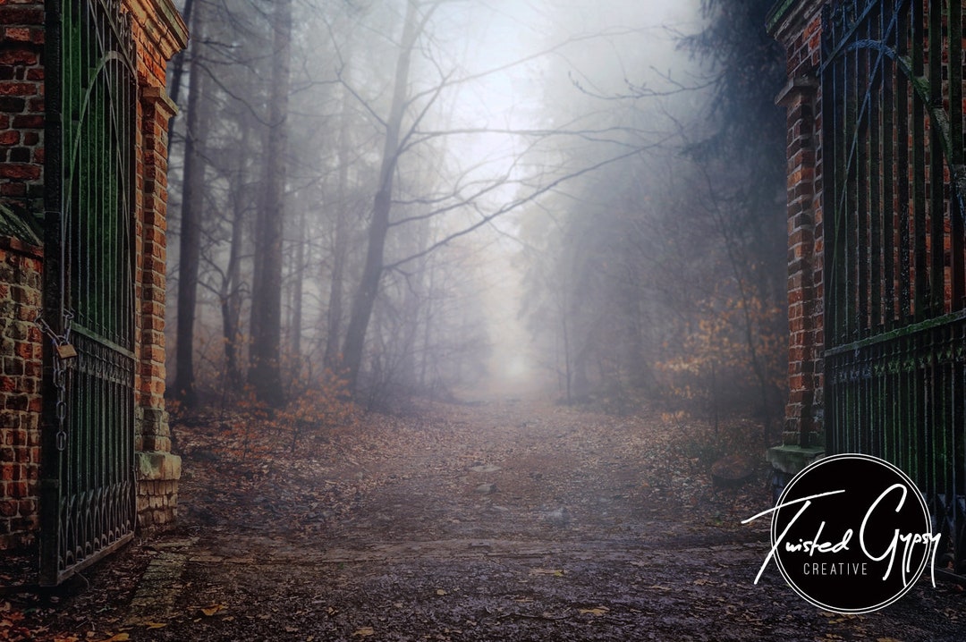 Spooky Gate Forest Path - Digital Background - Etsy