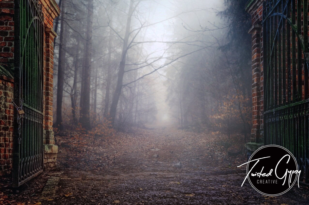 Spooky Gate Forest Path Digital Background - Etsy Australia