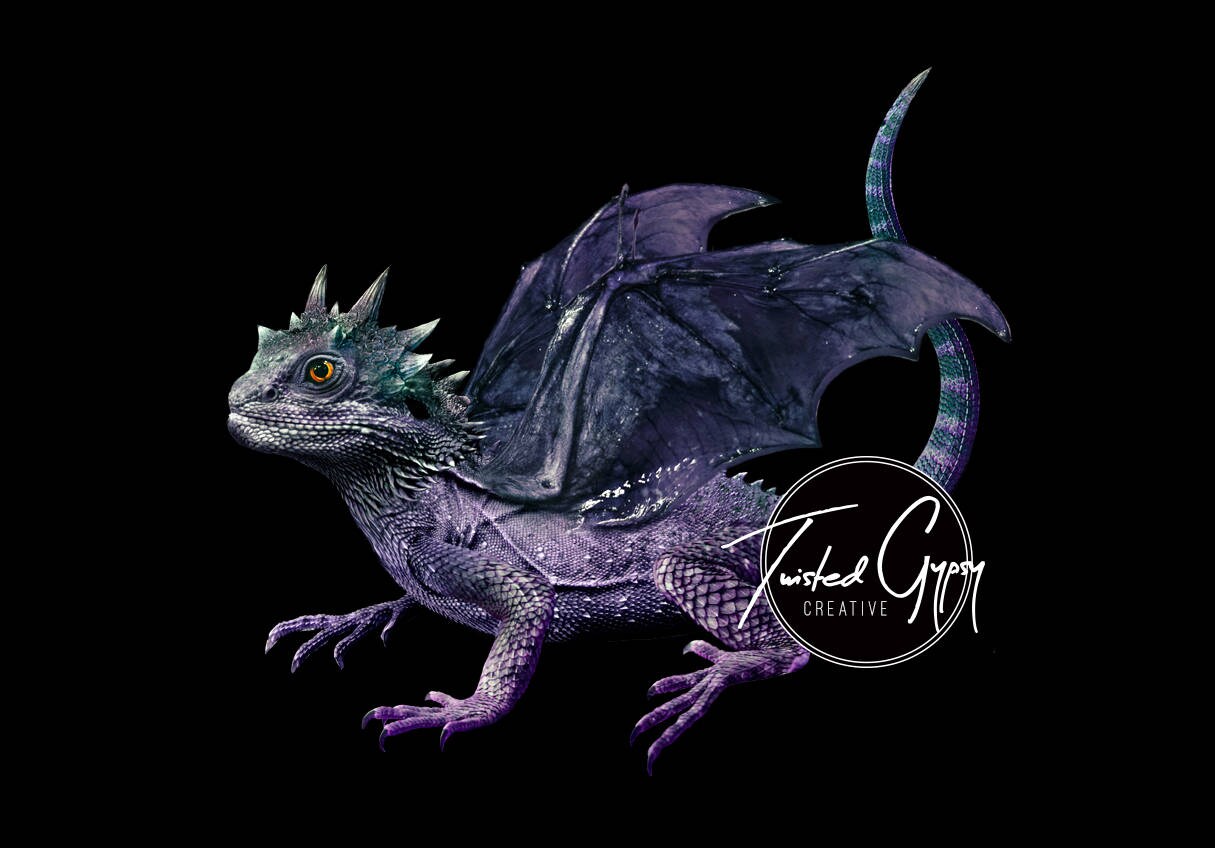Realistic Dragon Overlay Digital PNG | Etsy