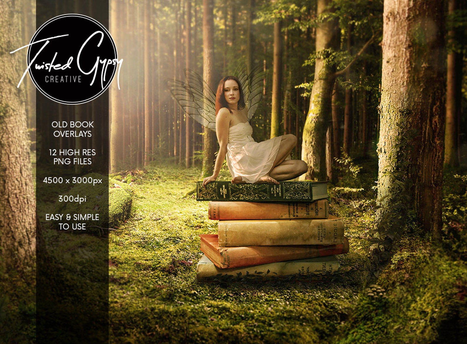 12 Old Vintage Book Overlays - Etsy