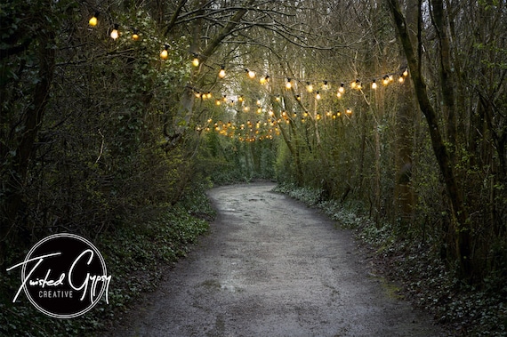 Fairy Lights Forest The Enchanted Forest, Pitlochry Glasgow With