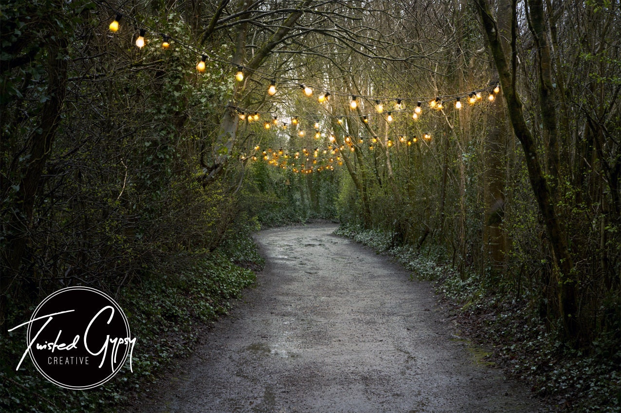 Fairy Lights Forest