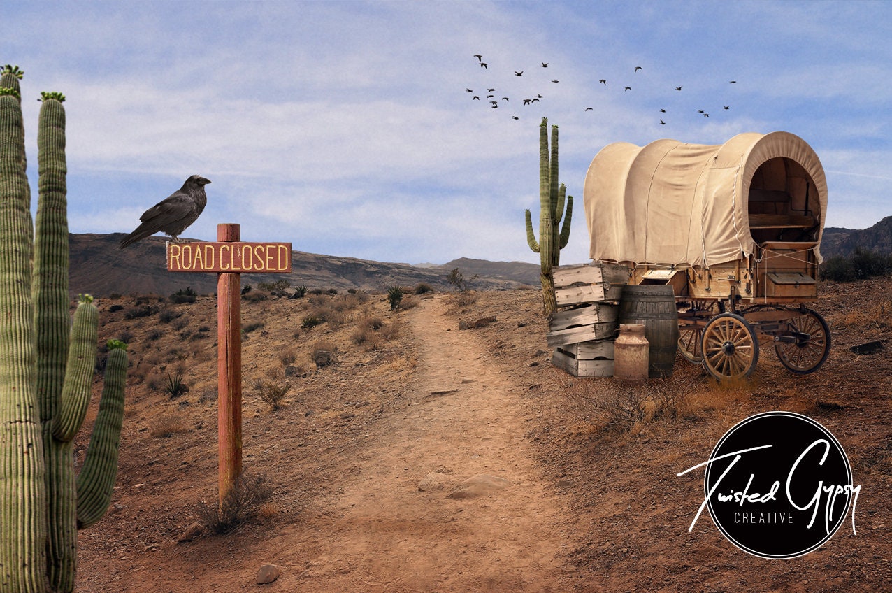 Western Desert Backdrop