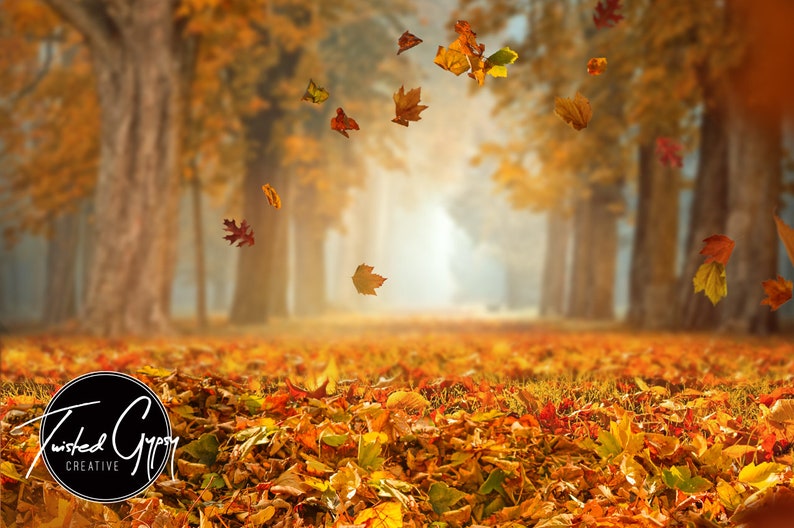 Autumn Leaves Digital Background Leaf Pile Overlay PNG | Etsy