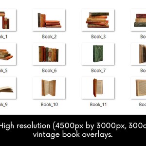12 Old Vintage Book Overlays - Etsy