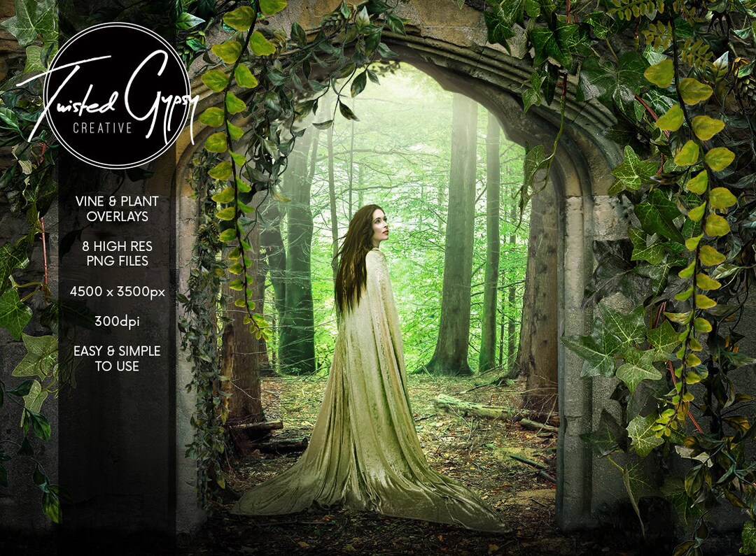 Vine + Plant Overlays - Perfect for Foregrounds! - Etsy