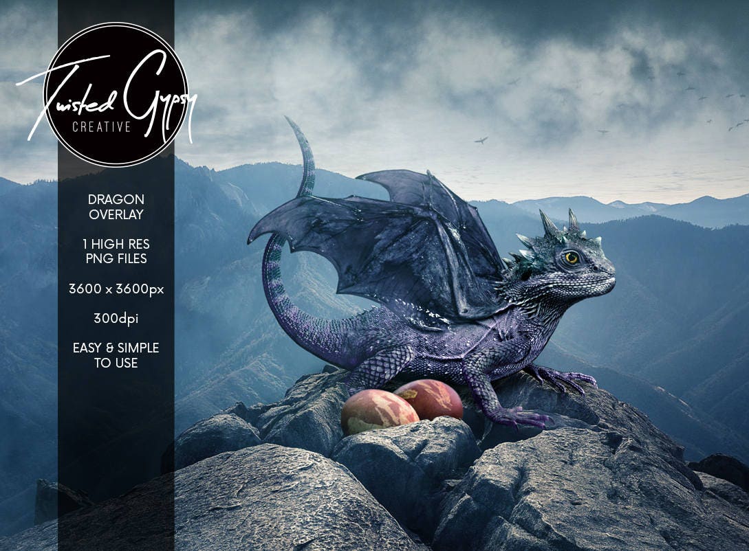 Realistic Dragon Png