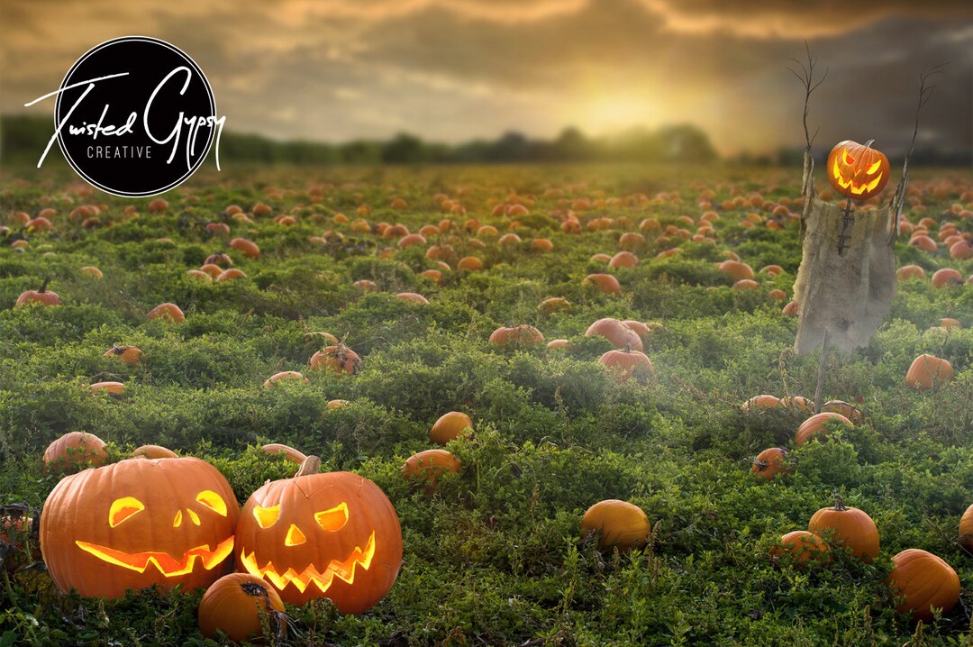 Halloween Pumpkin Field + Scarecrow Digital Background - Etsy
