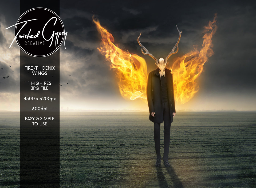 Fire/phoenix Wings Overlay - Real Fire Wings for Your Creative Images ...